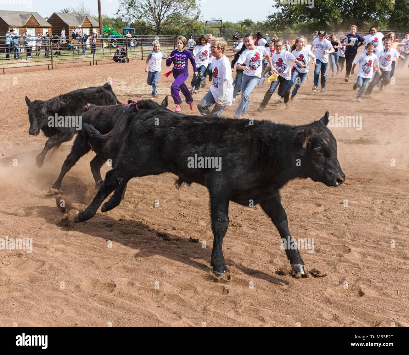 Volunteers and participants take part in horseback riding, cattle ...
