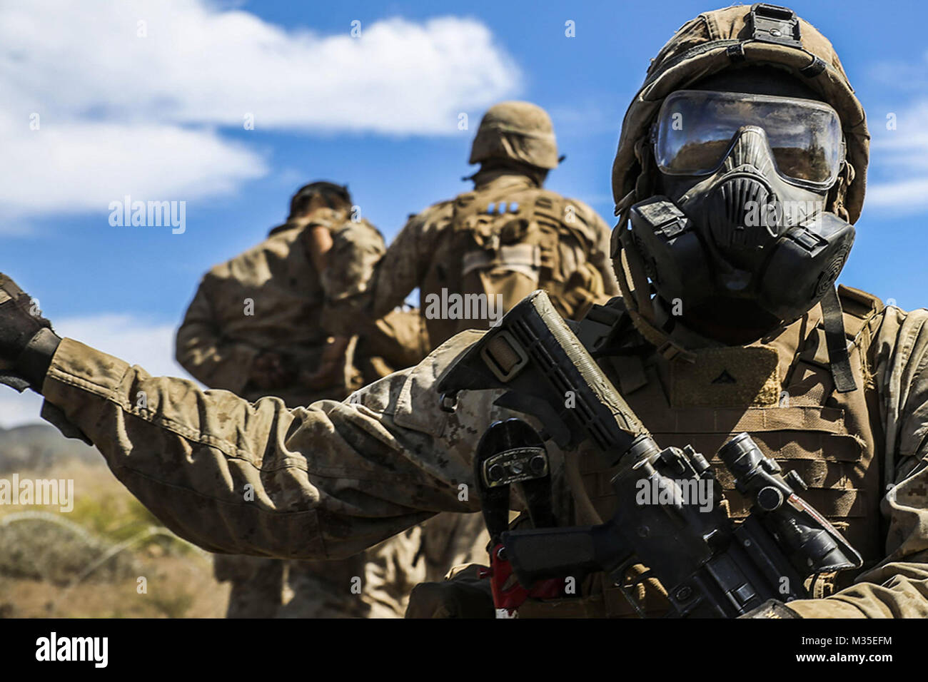 Marines Conduct Exercise Lava Viper in Hawaii by #PACOM Stock Photo - Alamy