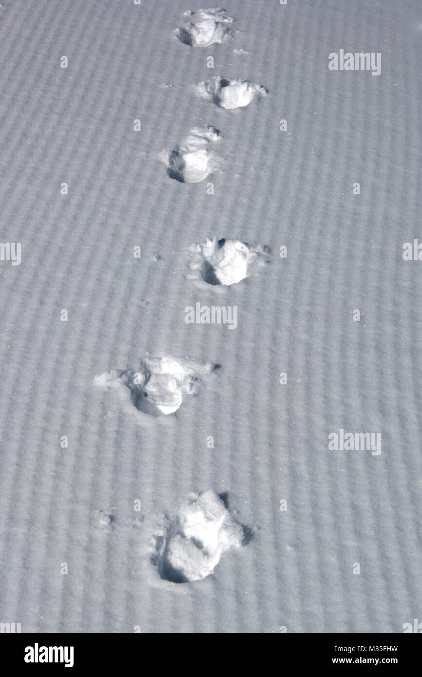 Footstep in snow hi-res stock photography and images - Alamy
