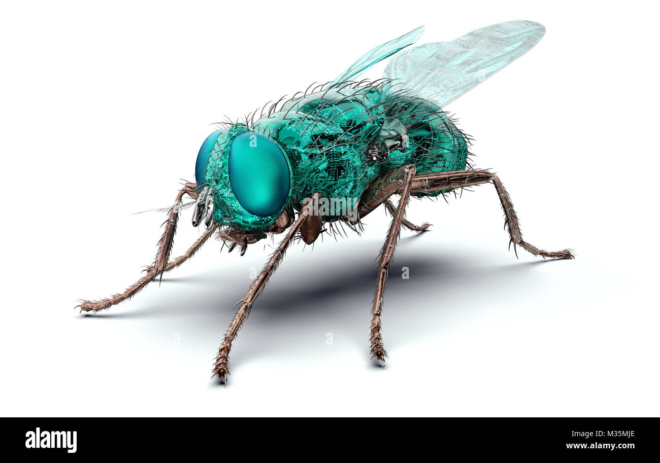 digital safety concept electronic computer bug isolated, 3D ...