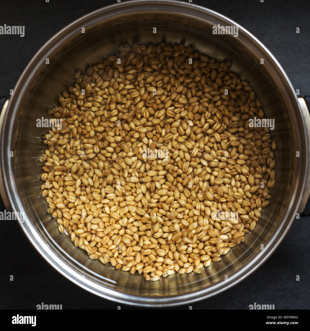 Washed in water hi-res stock photography and images - Alamy