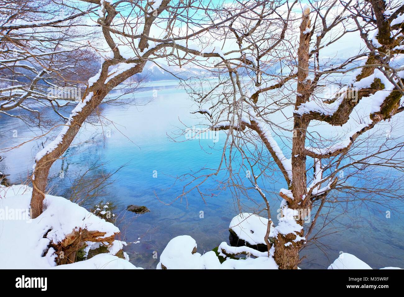 Winter in misawa hi-res stock photography and images - Alamy