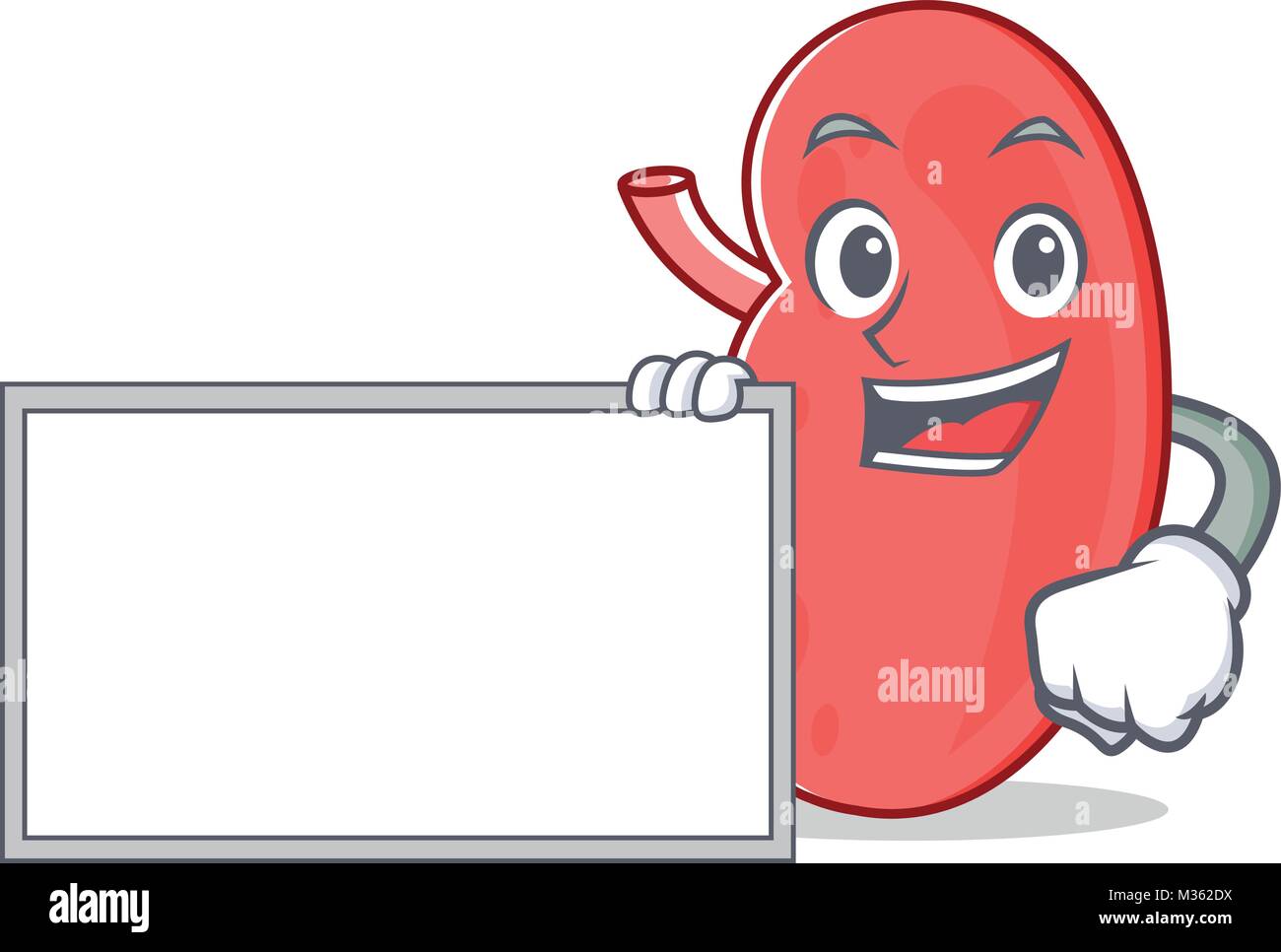 With board kidney character cartoon style Stock Vector Image & Art - Alamy