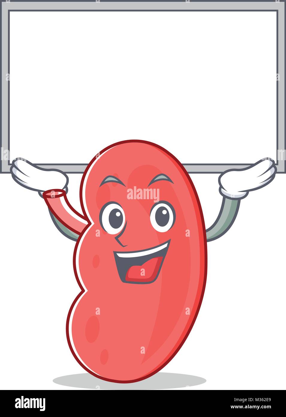 Up board kidney character cartoon style Stock Vector Image & Art - Alamy