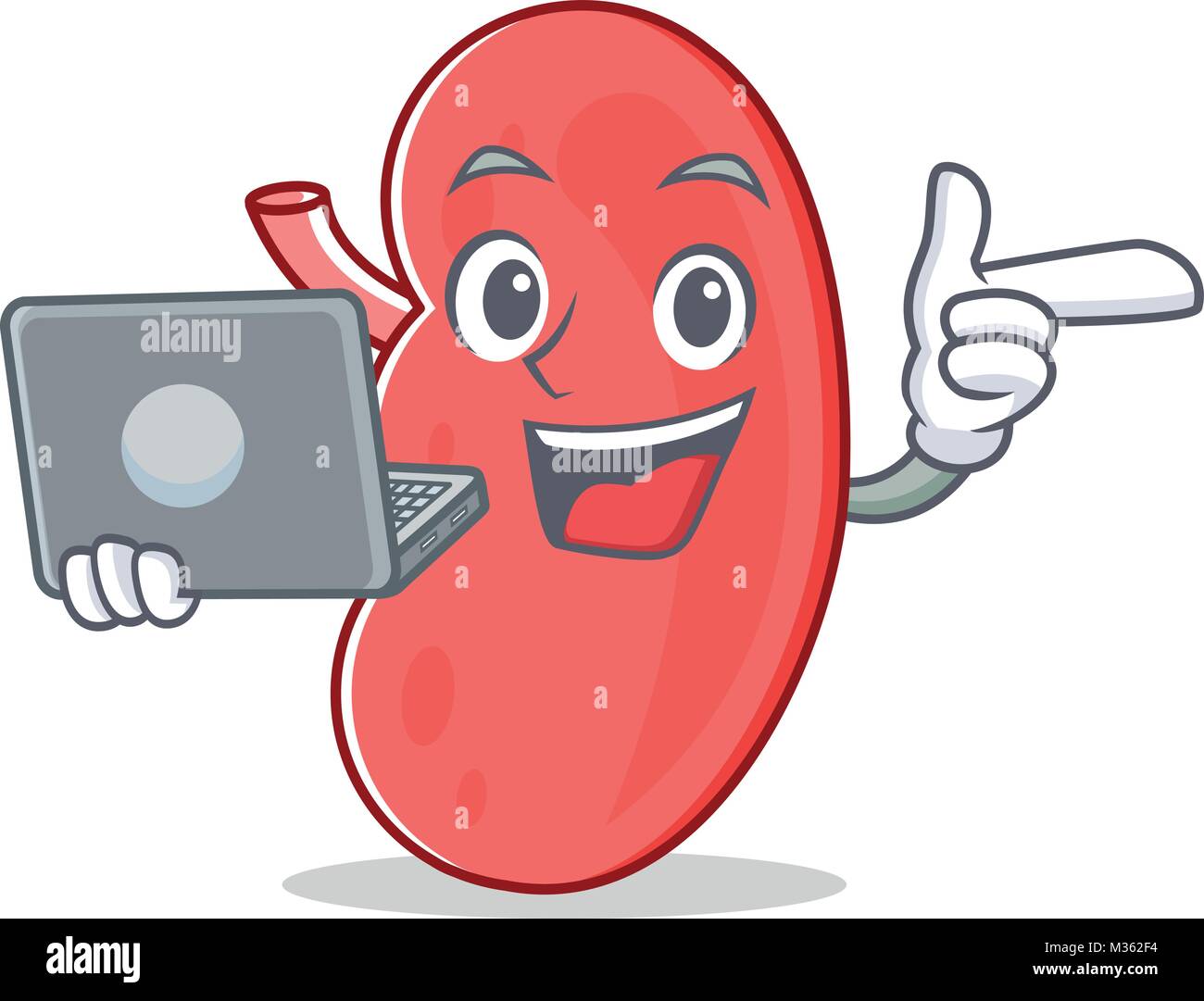 With laptop kidney character cartoon style Stock Vector Image & Art - Alamy
