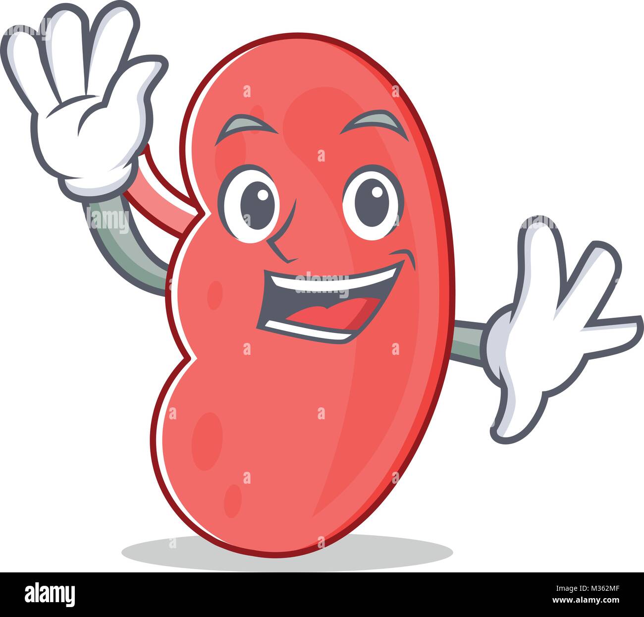 Waving kidney character cartoon style Stock Vector Image & Art - Alamy