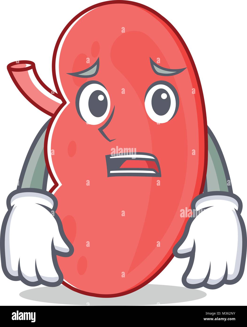 Human kidney cartoon strong hi-res stock photography and images - Alamy