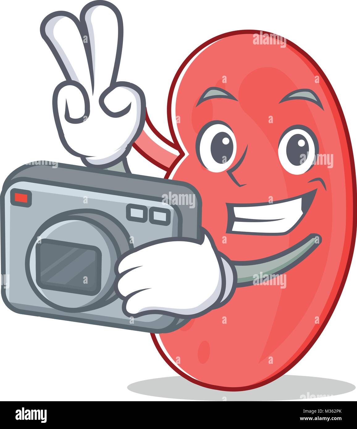 Human kidney photograph hi-res stock photography and images - Alamy