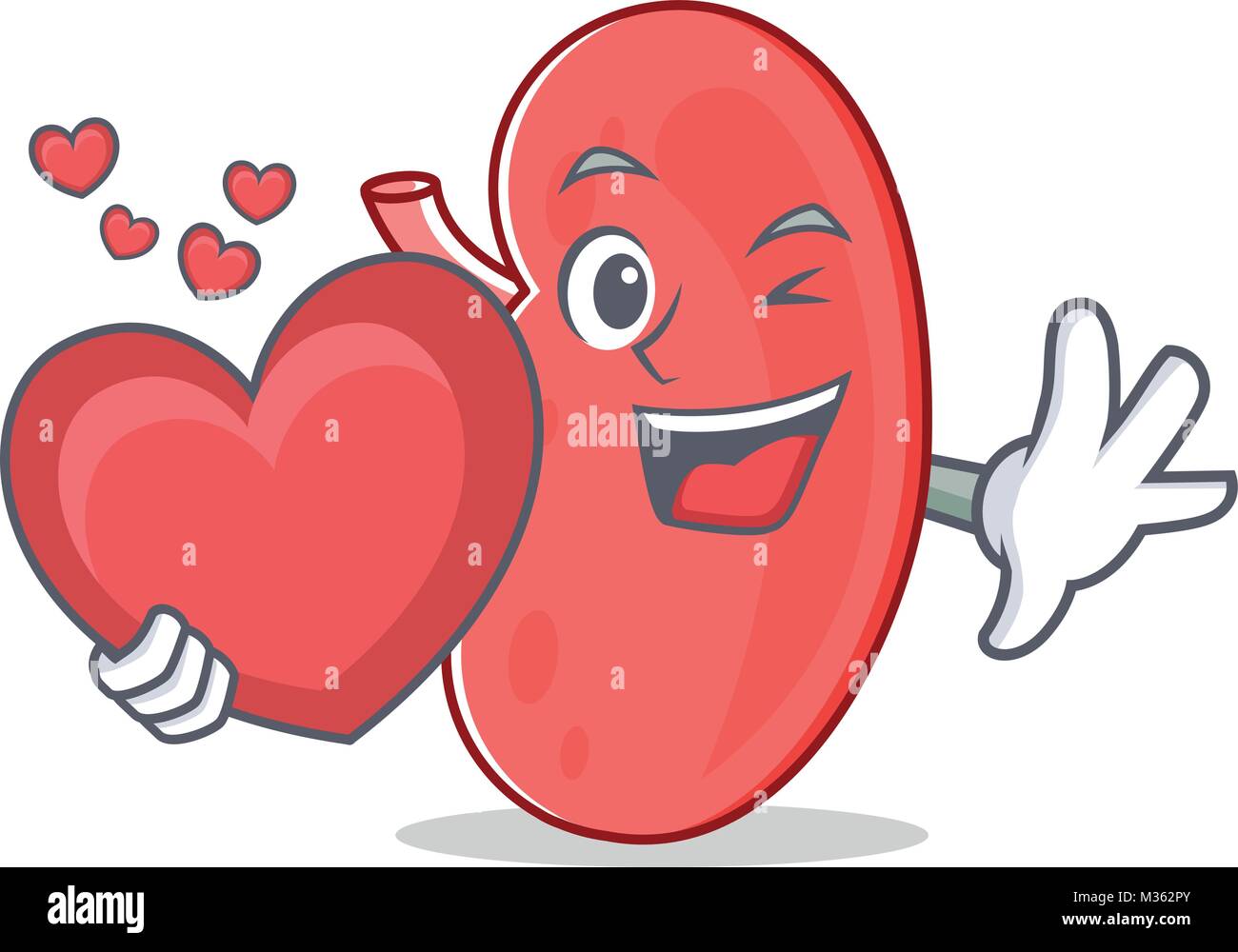 With heart kidney mascot cartoon style Stock Vector Image & Art - Alamy