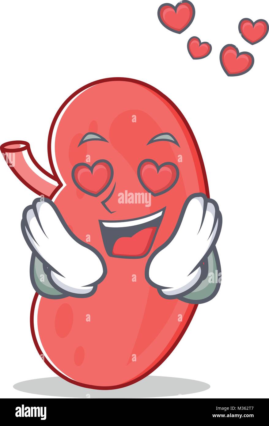 In love kidney mascot cartoon style Stock Vector Image & Art - Alamy