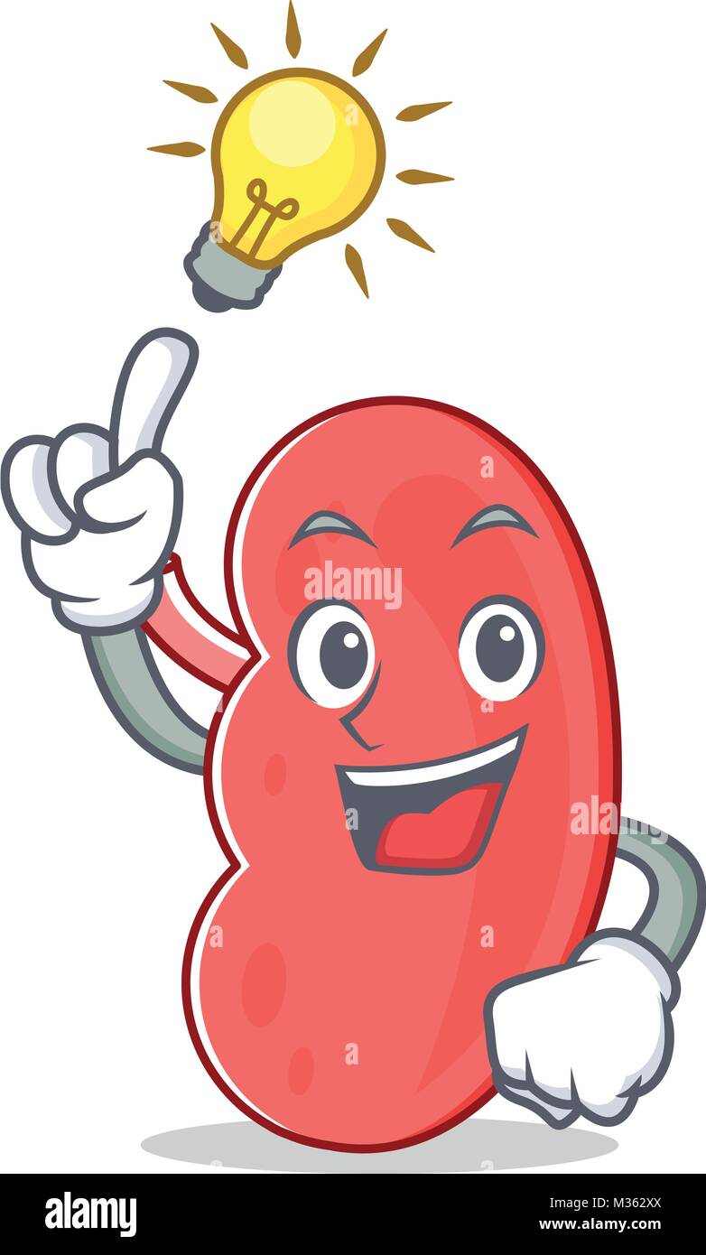 Human kidney cartoon strong hi-res stock photography and images - Alamy