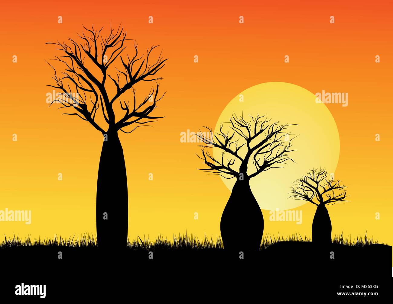 Australian baobab tree hi-res stock photography and images - Alamy