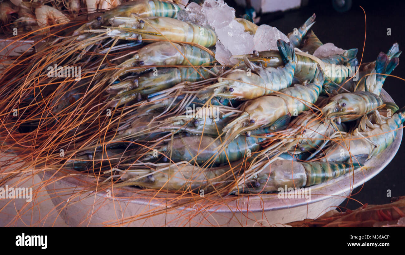 Man fish market dubai uae hi-res stock photography and images - Alamy