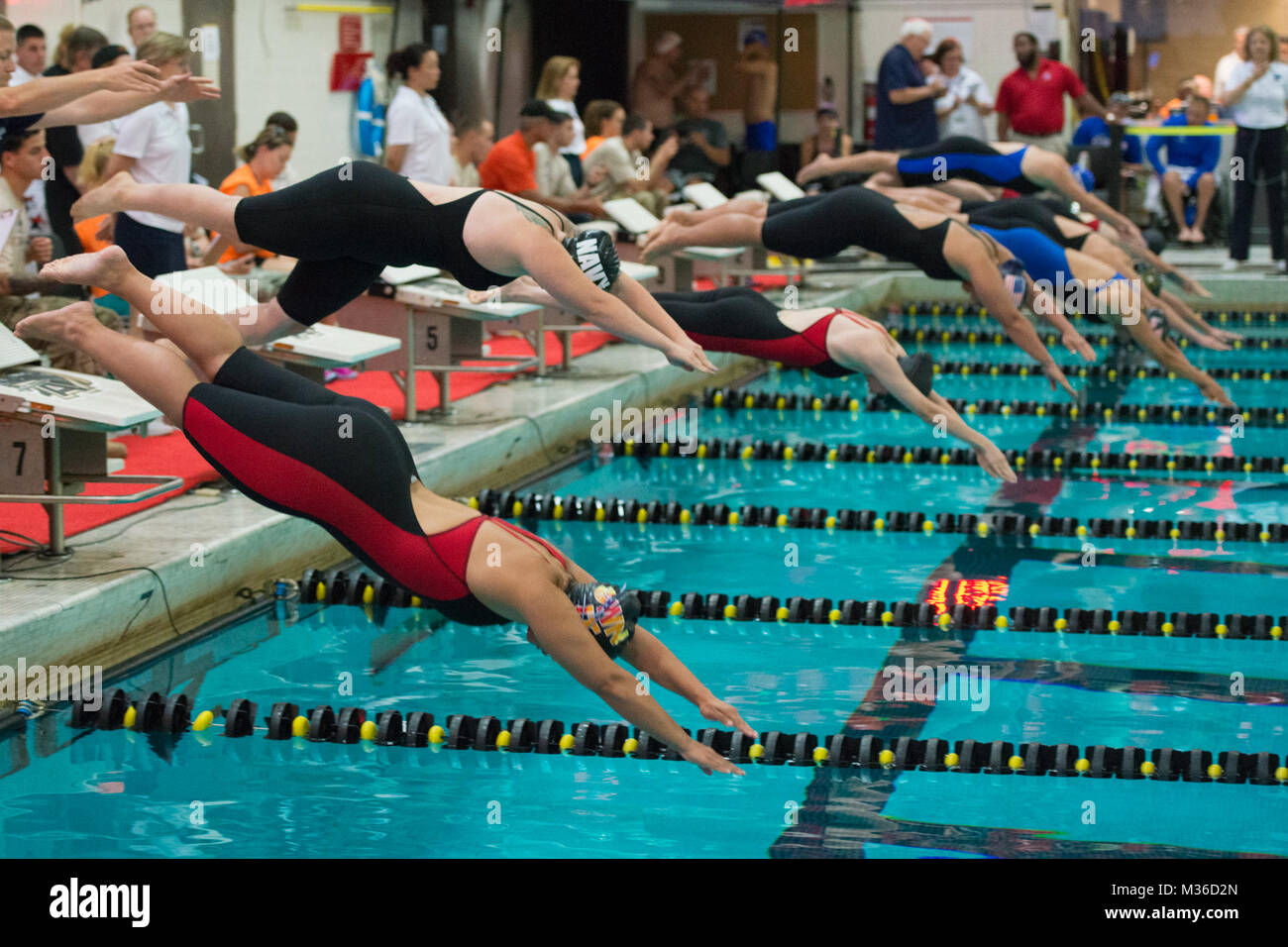 Athletes compete in swimming during the 2016 Department of Defense ...