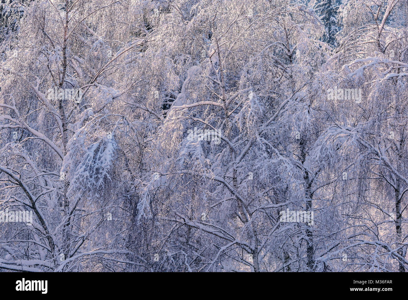 Frozen time drops hi-res stock photography and images - Alamy