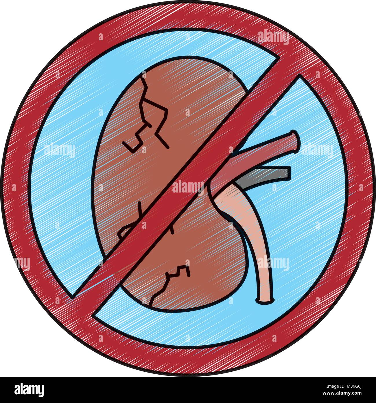 Renal arteries Stock Vector Images - Alamy