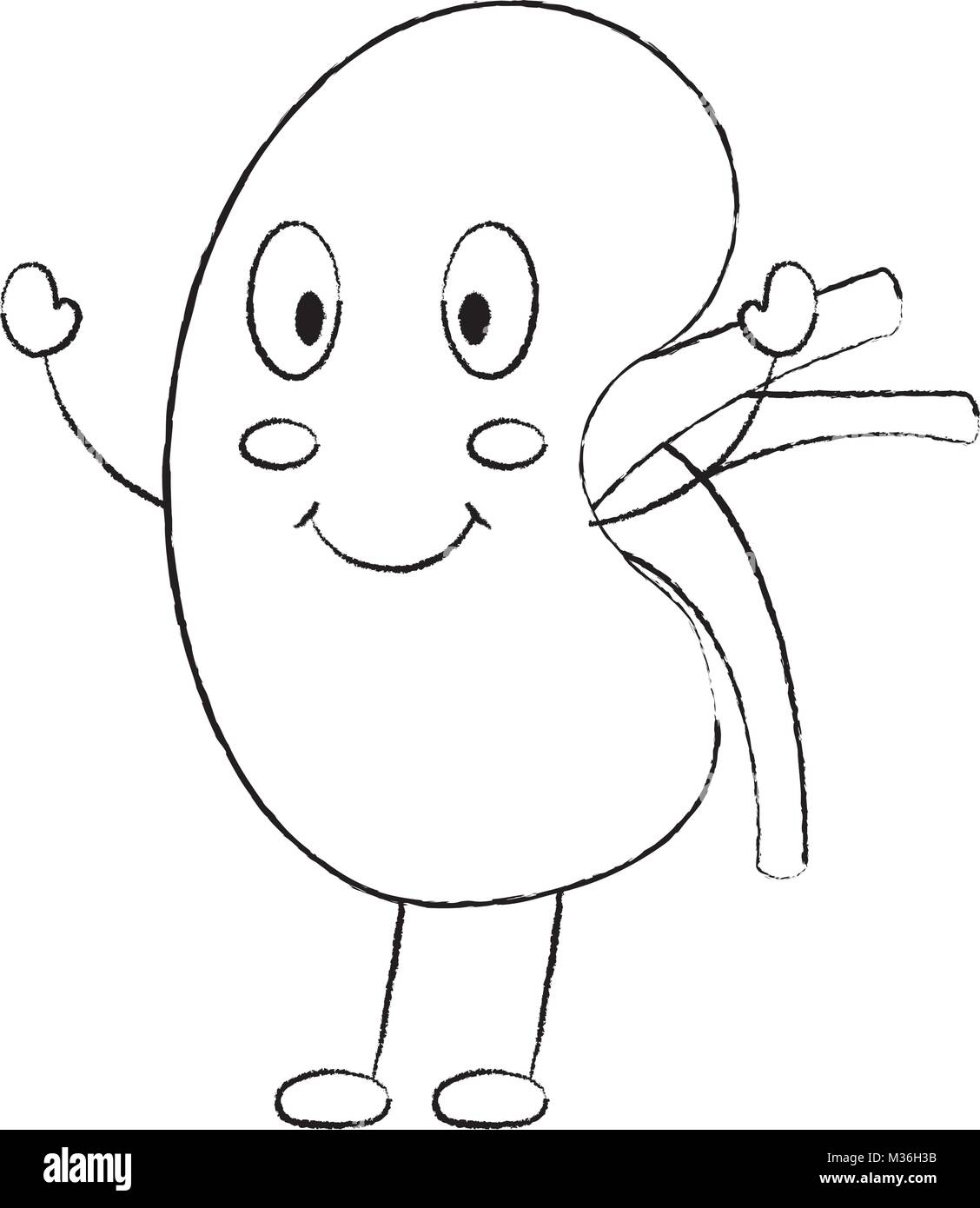 cartoon happy human kidney smiling character Stock Vector Image & Art ...