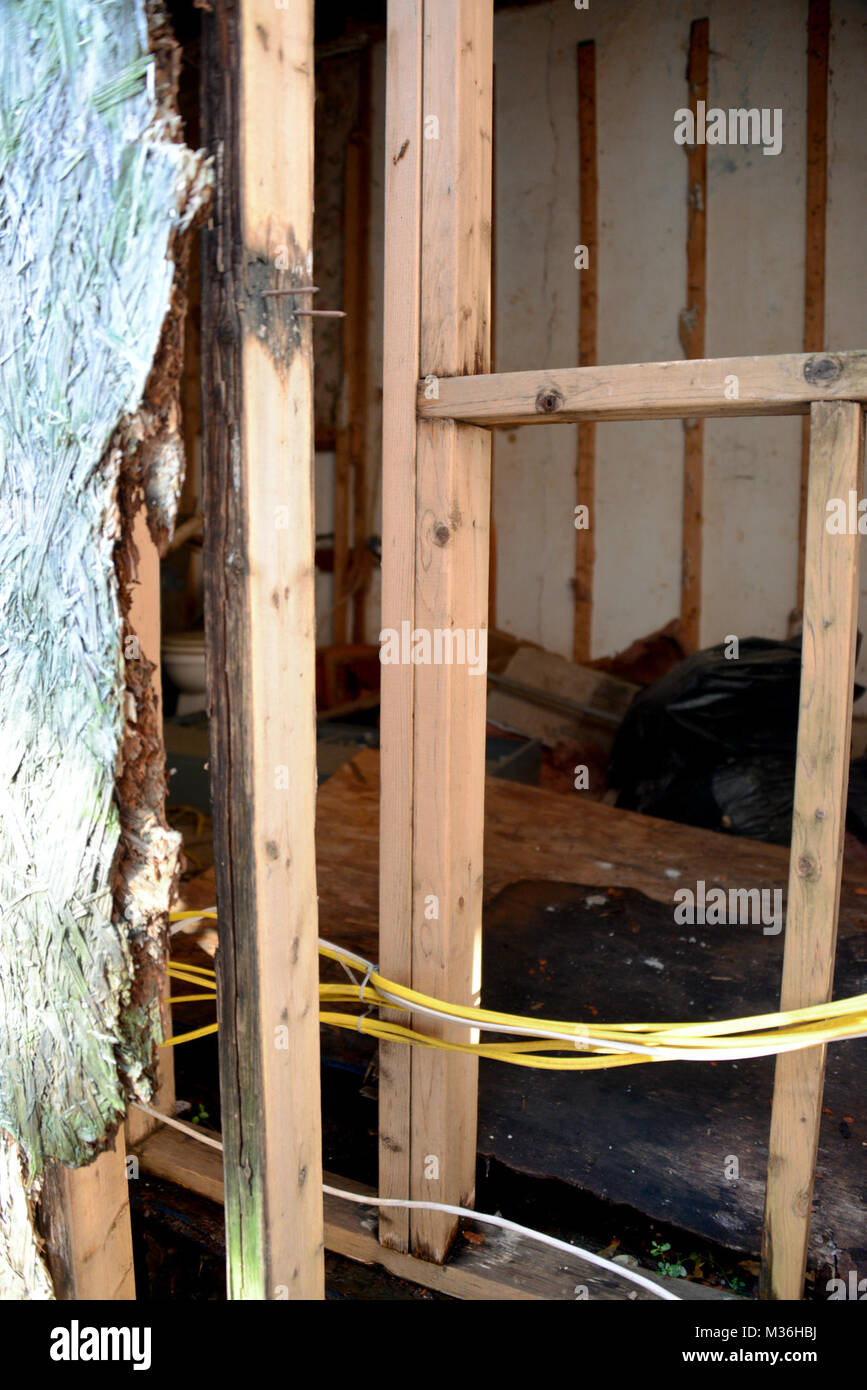 Clean & Seal 17 DSC7999 by PANationalGuard Stock Photo - Alamy