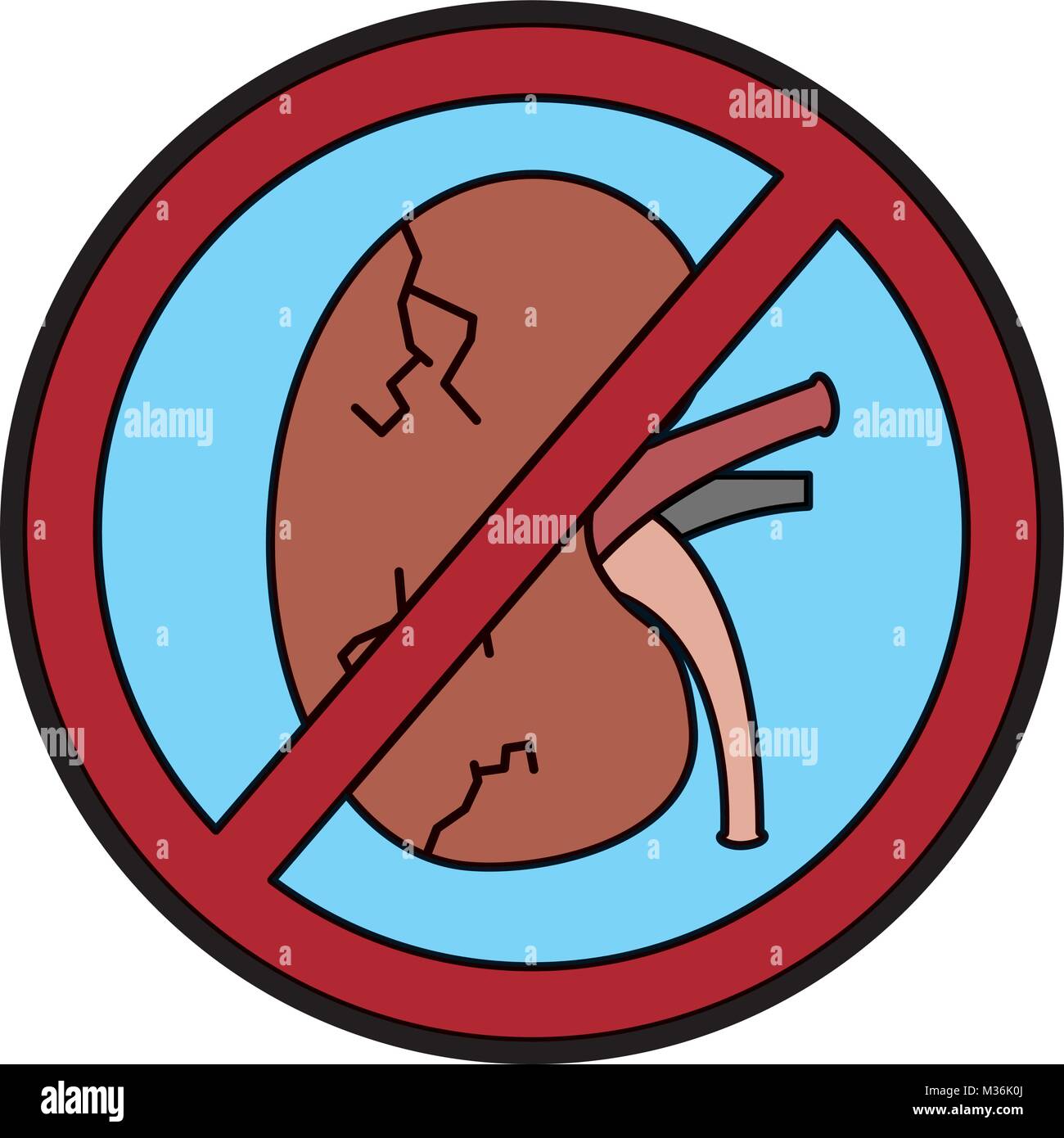 Suprarenal arteries hi-res stock photography and images - Alamy