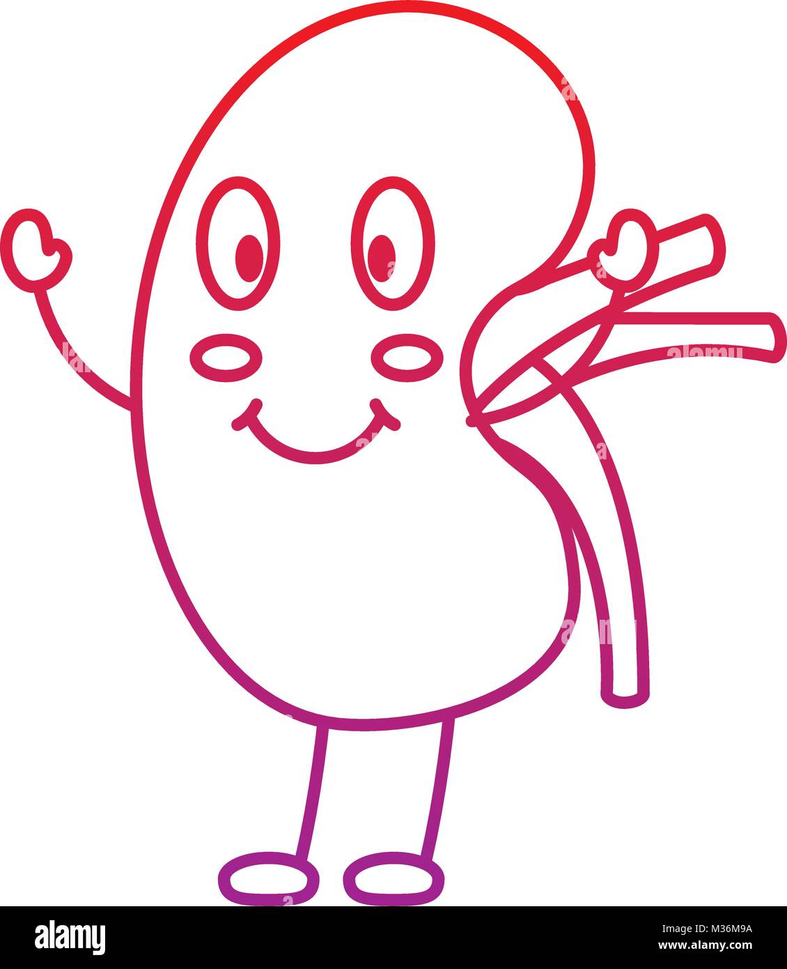 cartoon happy human kidney smiling character Stock Vector Image & Art ...