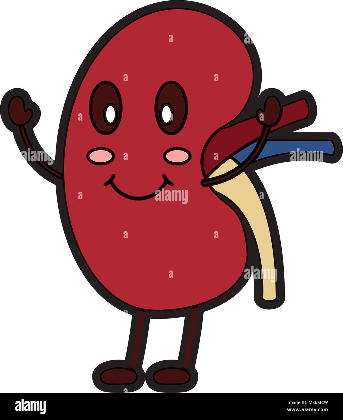 cartoon happy human kidney smiling character Stock Vector Image & Art ...