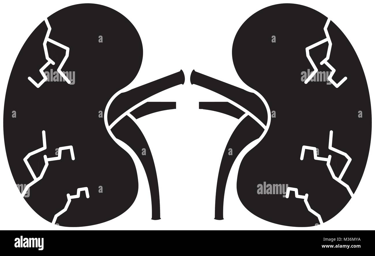 Unhealthy Human Kidney