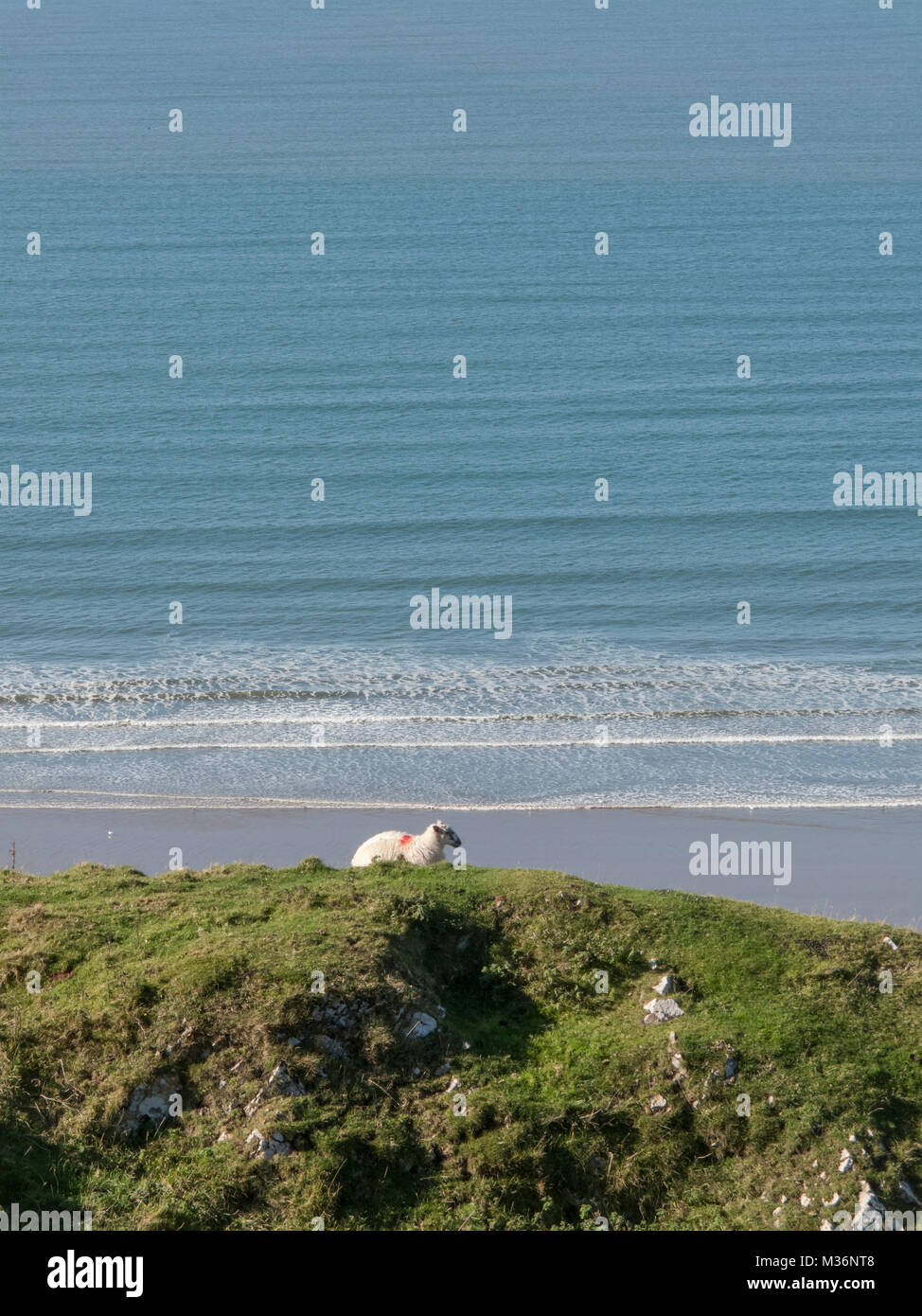 Gower peninsula rhossili bay hi-res stock photography and images - Alamy