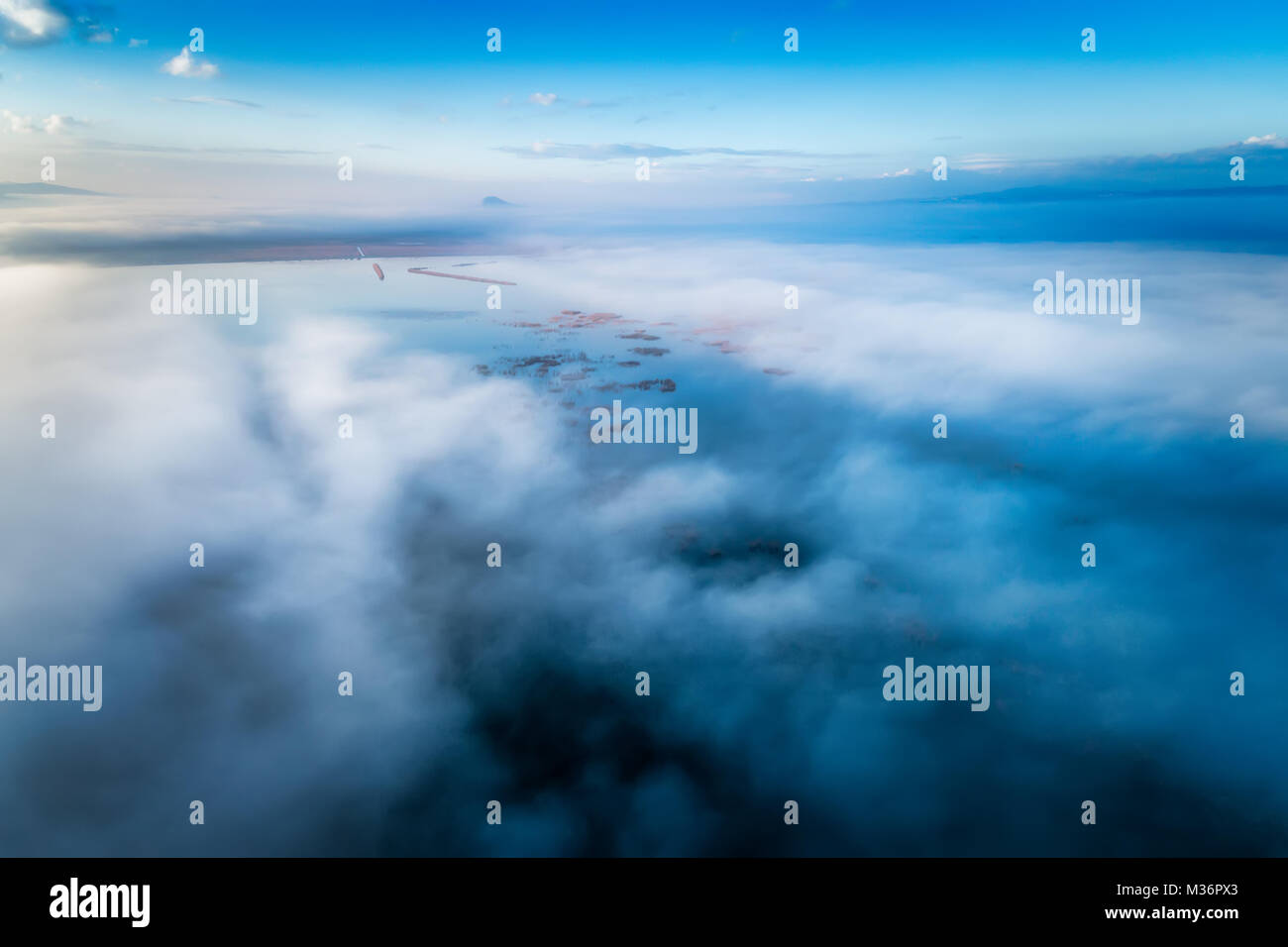 Drone camera wildlife hi-res stock photography and images - Alamy