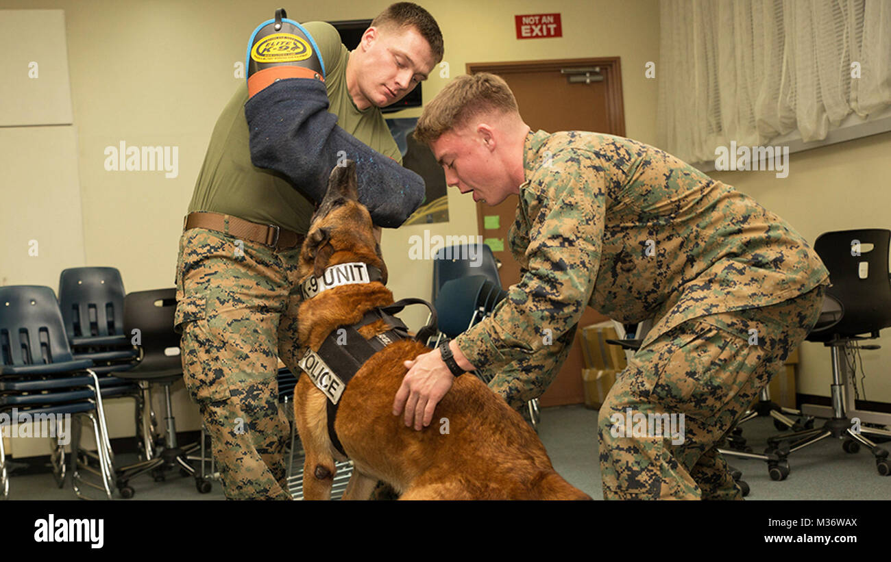 Lance Cpl. Kevin Kelly, right, military working dog handler with ...