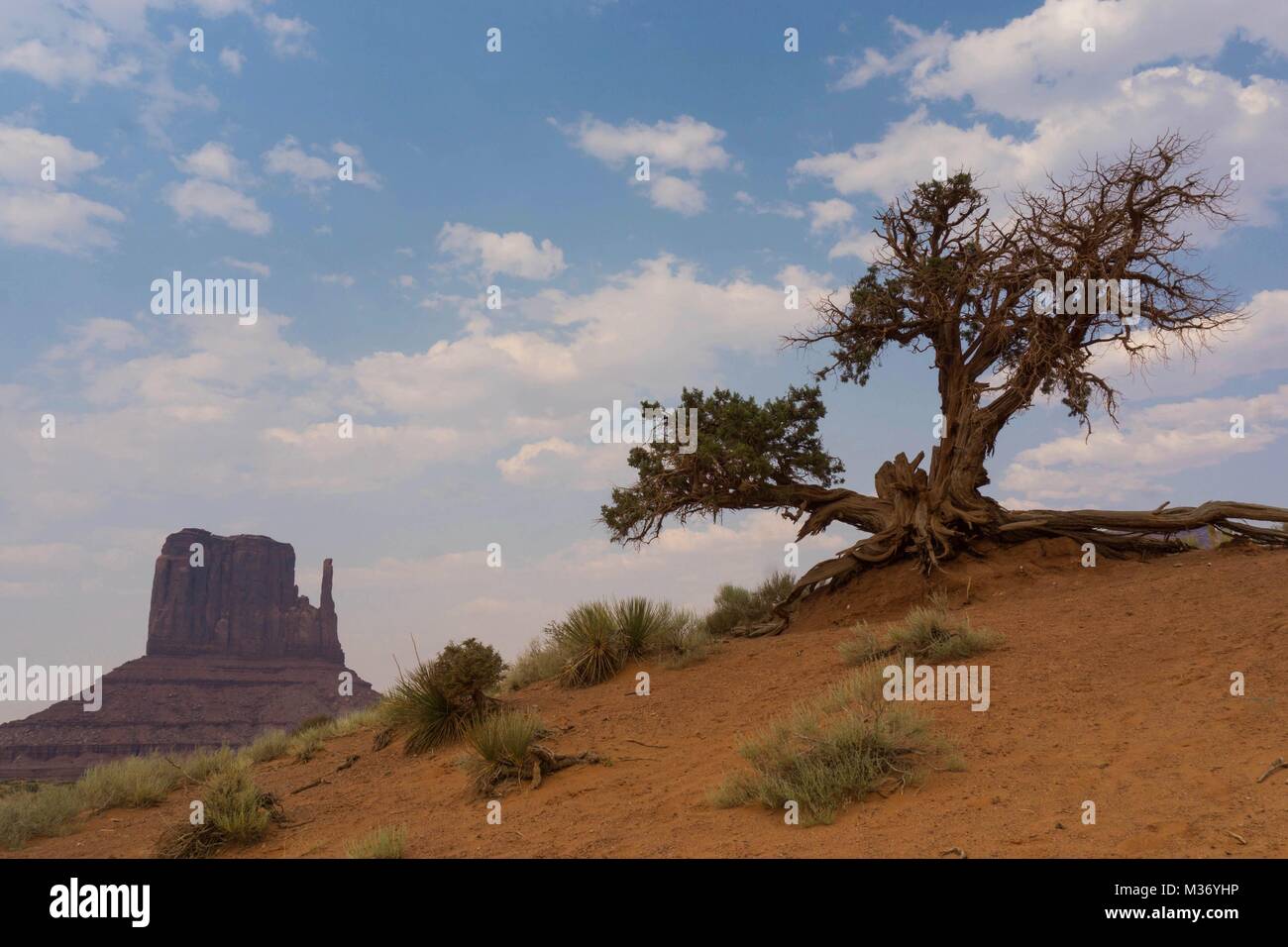 Monument Valley landscape in southern Utah Stock Photo - Alamy