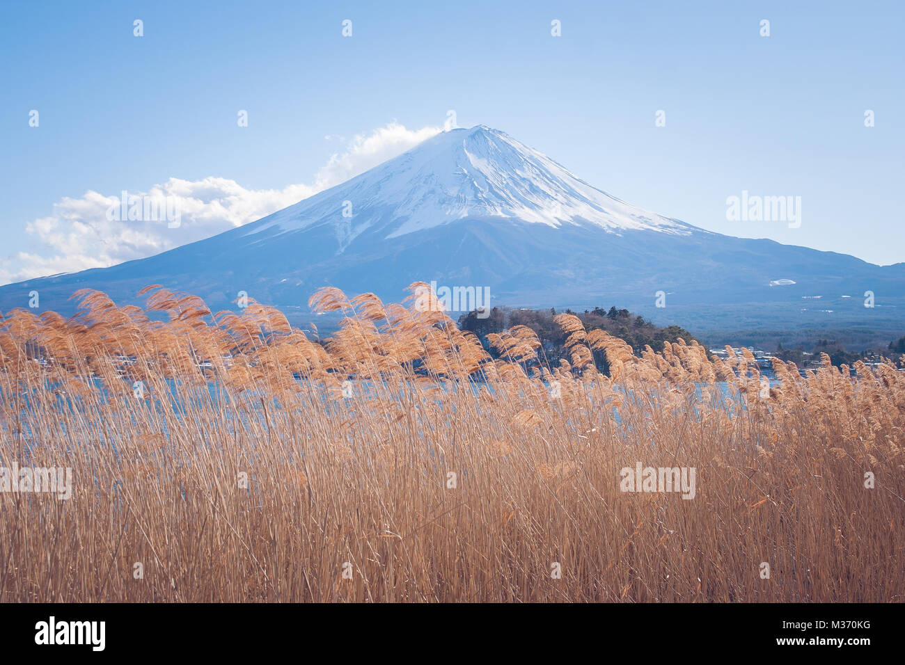 Beautiful landscape view of Fuji mountain or Mt.Fuji covered with white ...