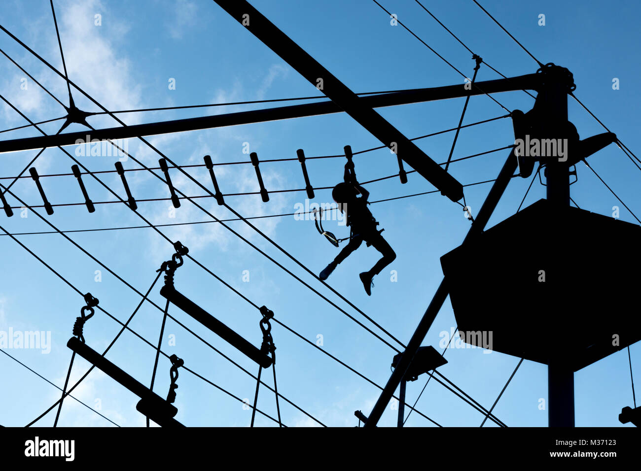 Person climbing on high ropes Stock Photo - Alamy