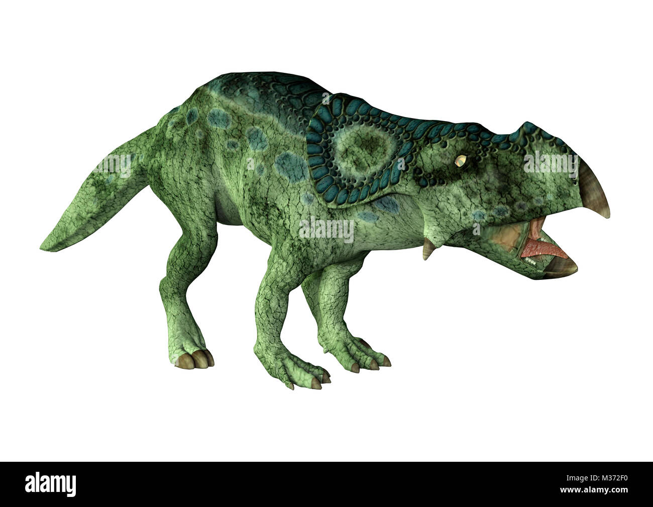 3D rendering of a dinosaur Protoceratops isolated on white background ...