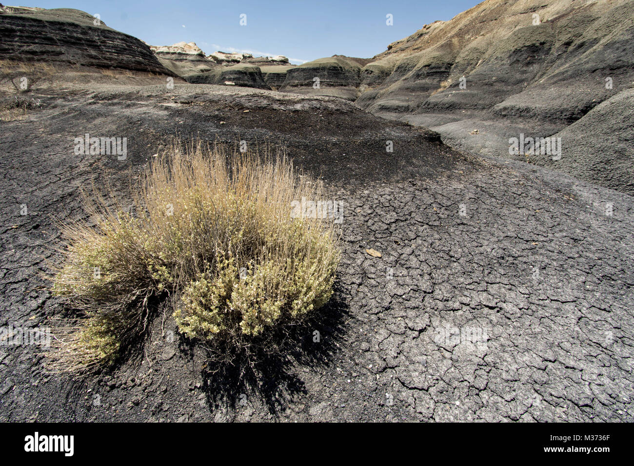 wild and remote desert landscape in the Bisti Wilderness Area in ...