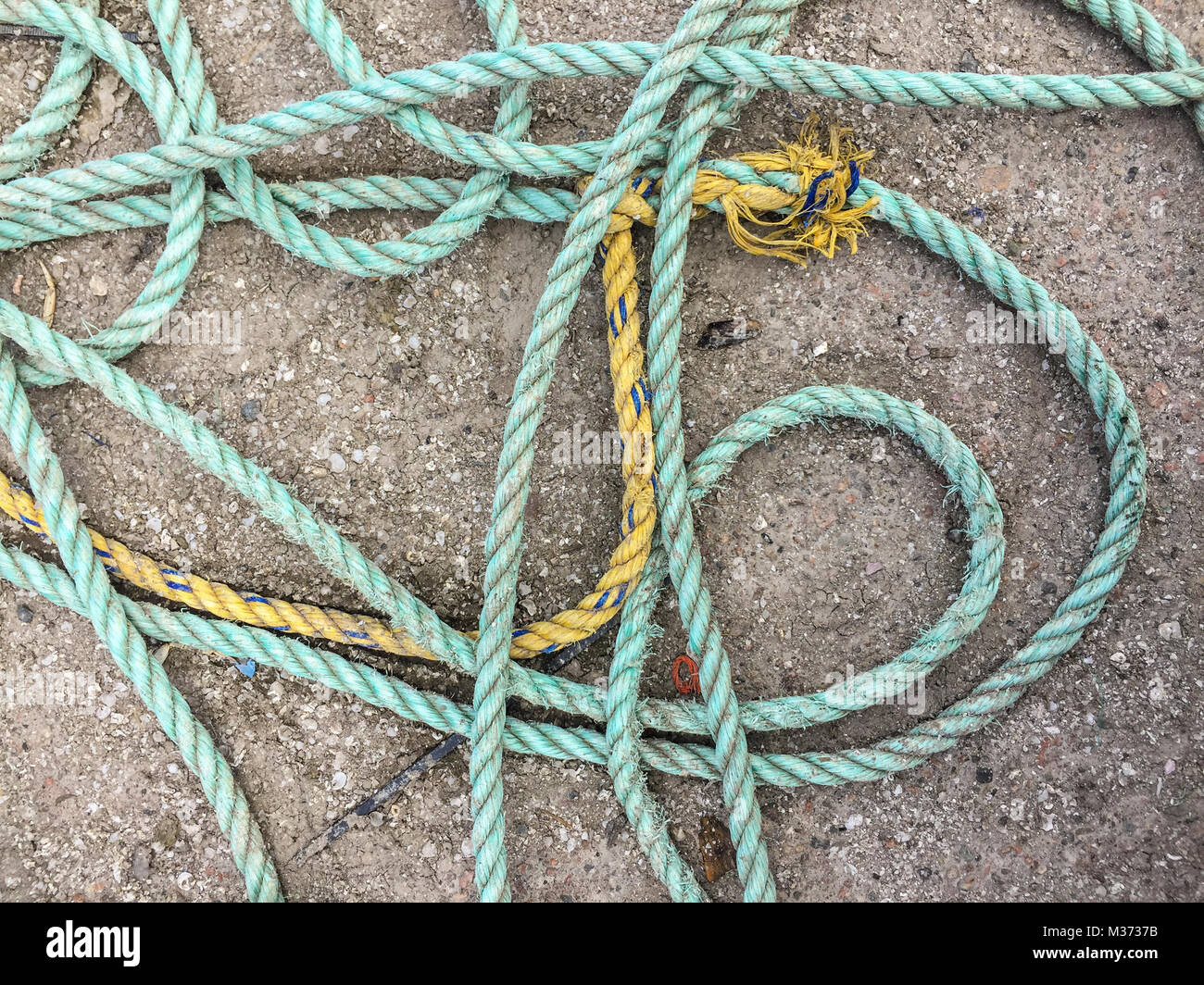 A tangle of fishing rope Stock Photo - Alamy