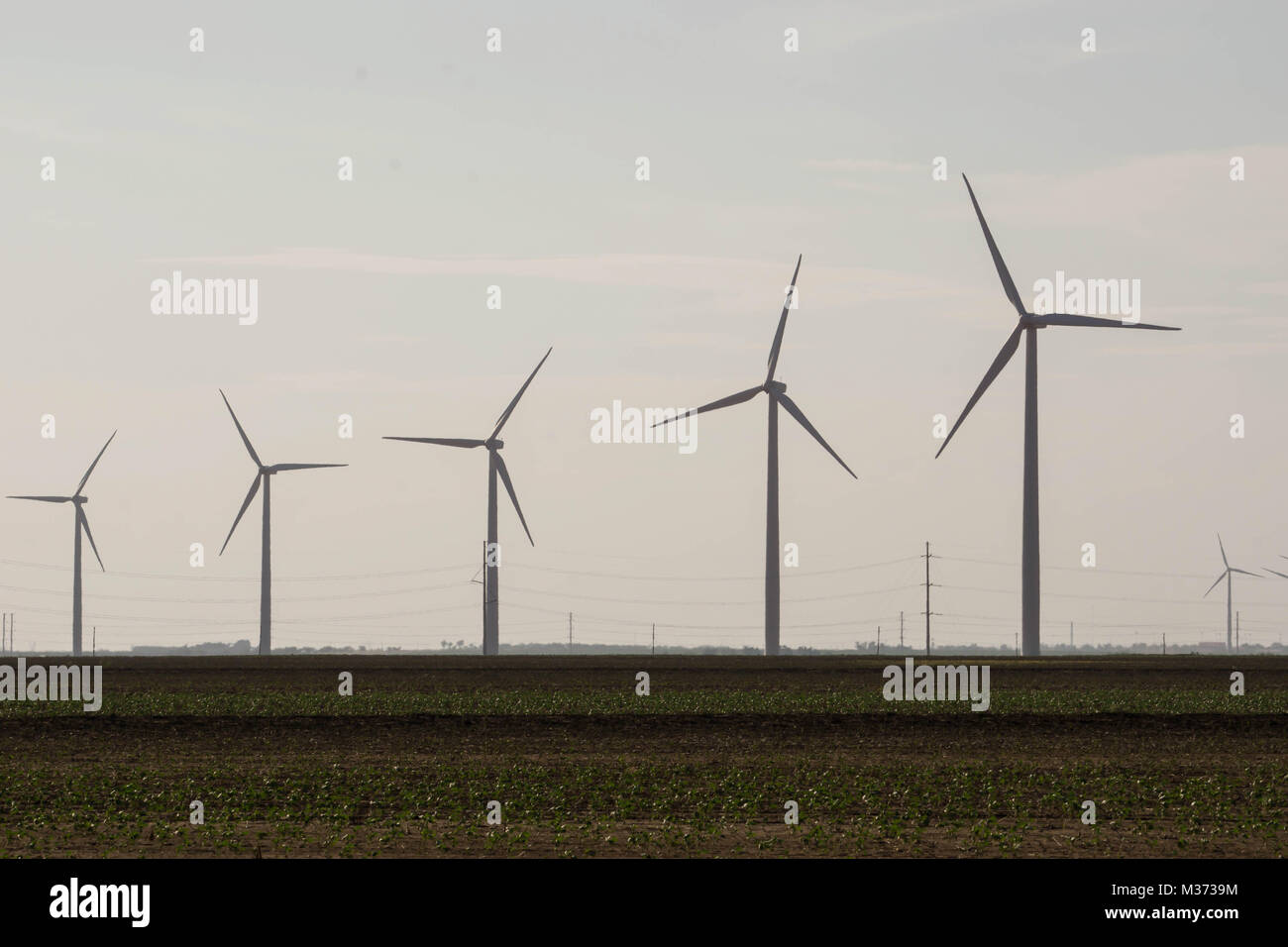 large white wind turbines on wind farm in the Texas Panhandle plains ...
