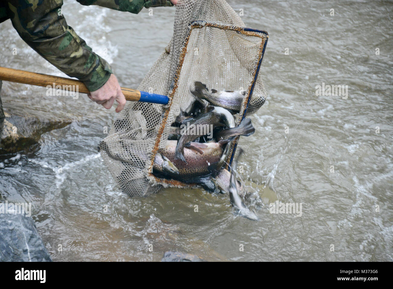 FTIG Trout Stocking 20 DSC1664 by PANationalGuard Stock Photo - Alamy