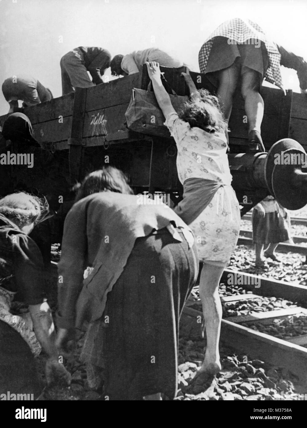 Germany post-war 1946. Women lean forward for coal and steal the much ...