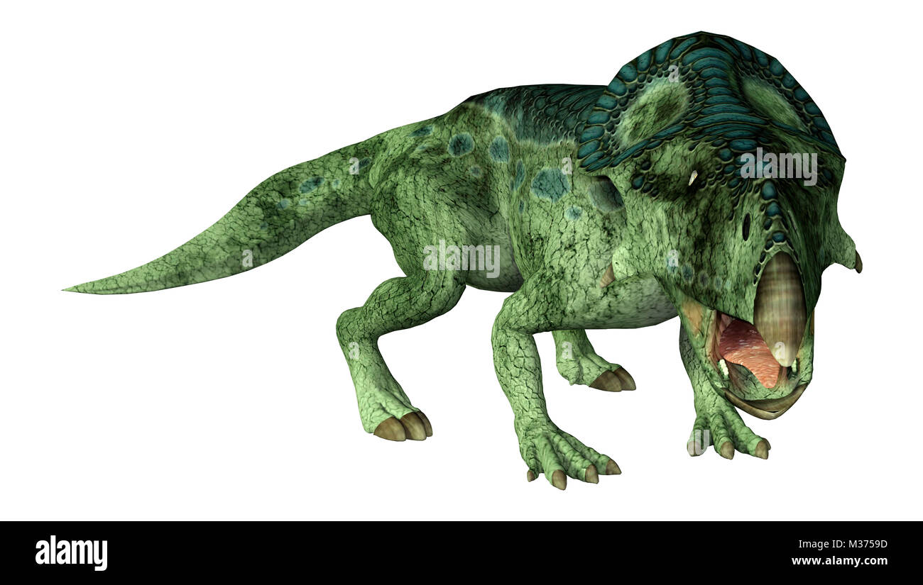 3D rendering of a dinosaur Protoceratops isolated on white background ...