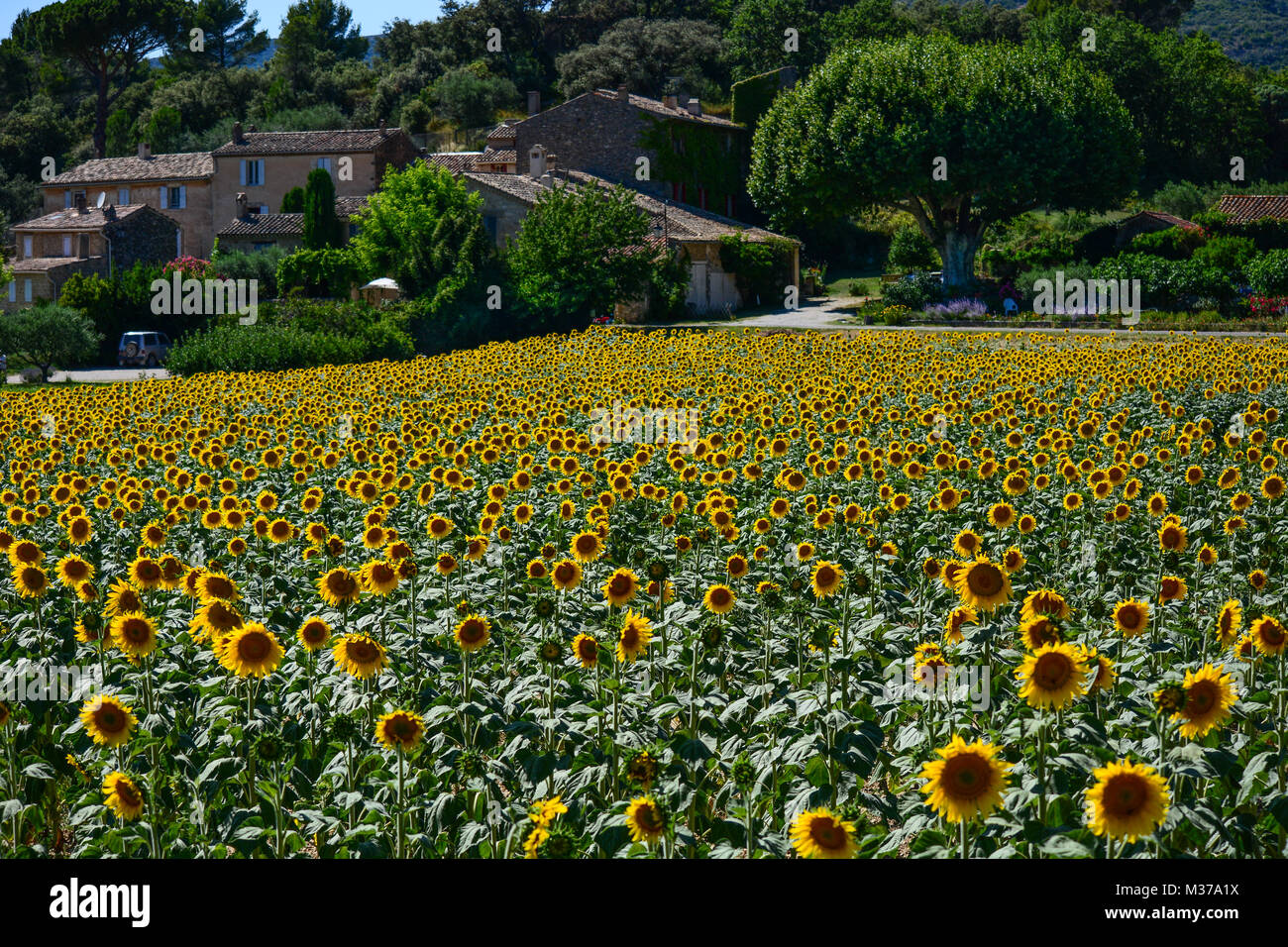 Beautiful field view hi-res stock photography and images - Alamy