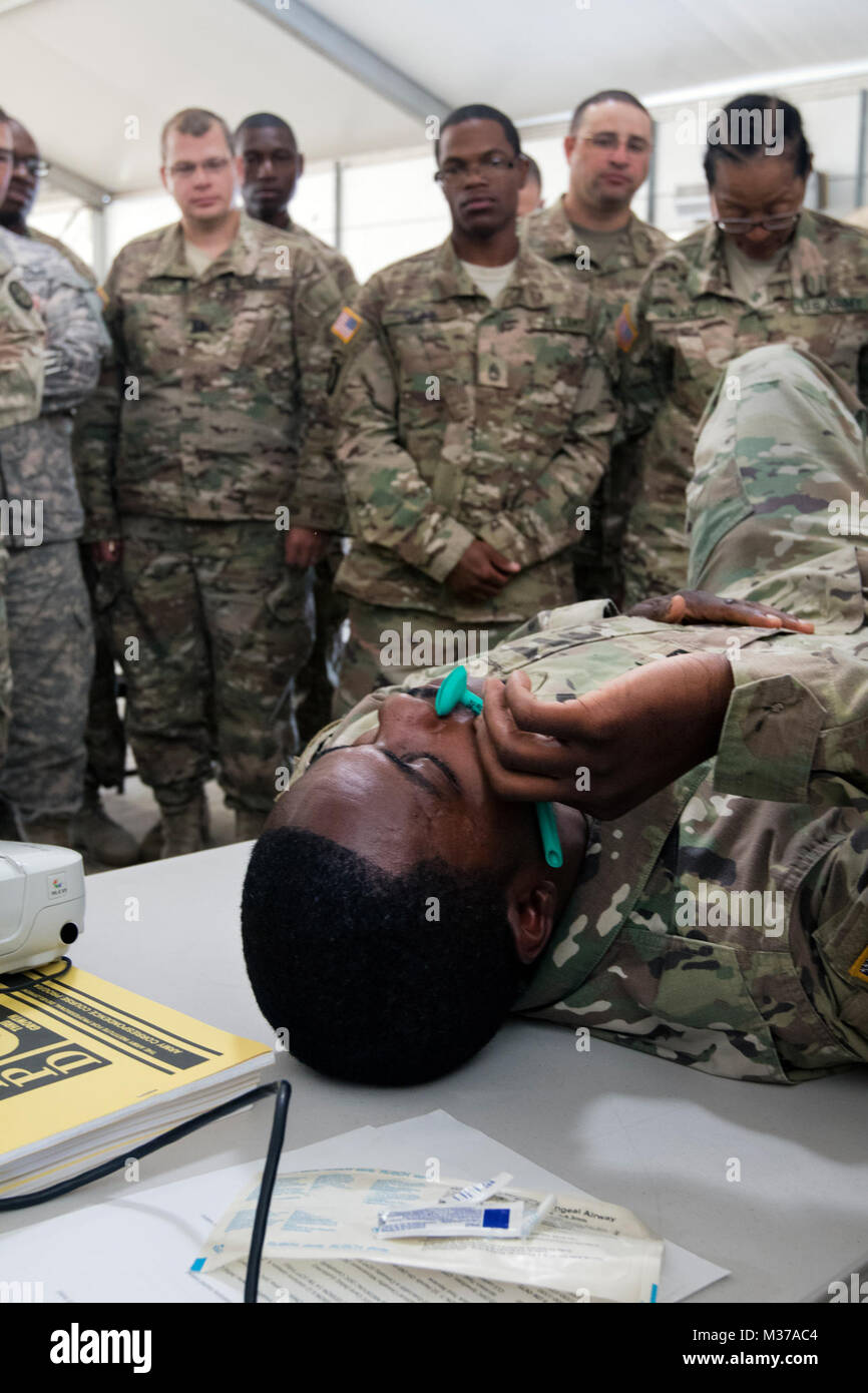 Soldiers from the 316th Sustainment Command (Expeditionary), a Army ...