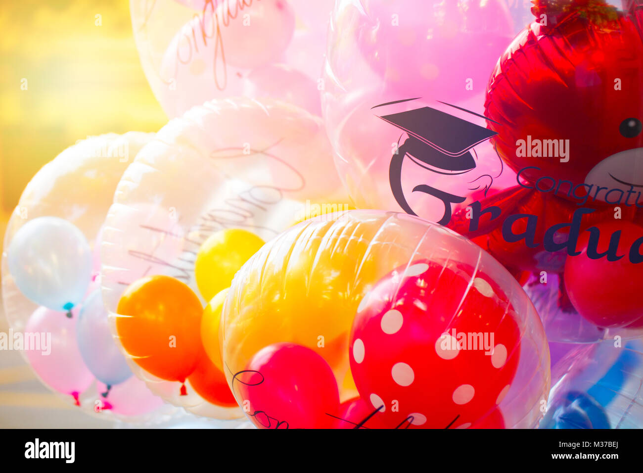 colorful congratulation balloon party happiness event background Stock ...