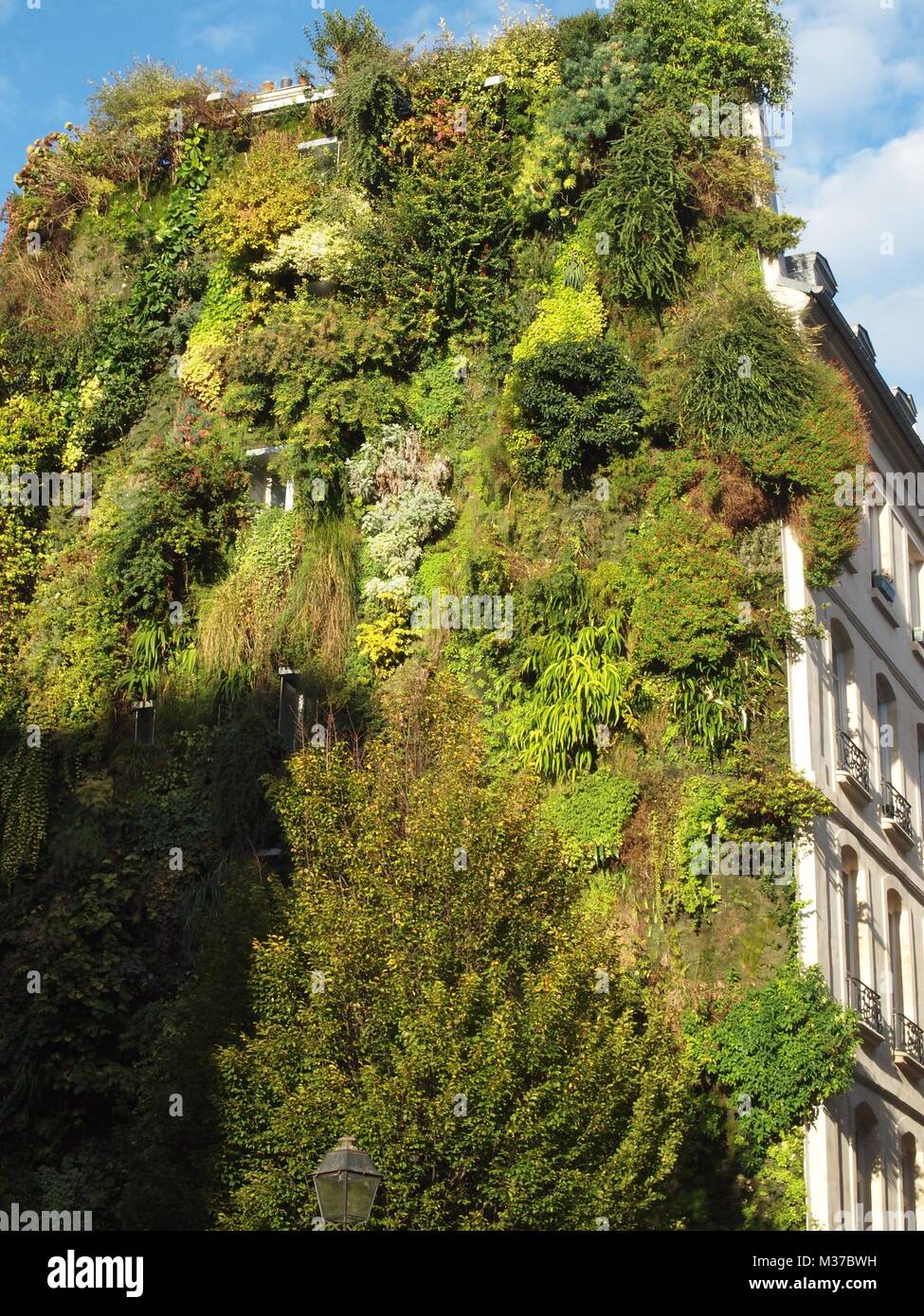 Vegetated wall hi-res stock photography and images - Alamy