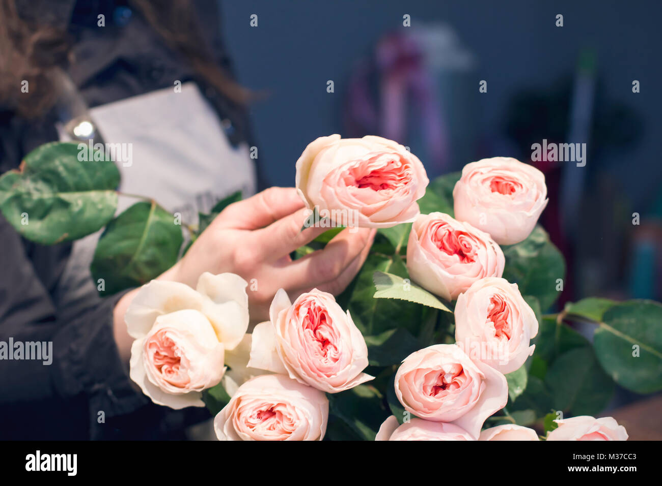 Roses on the florist's table, working moments Stock Photo - Alamy