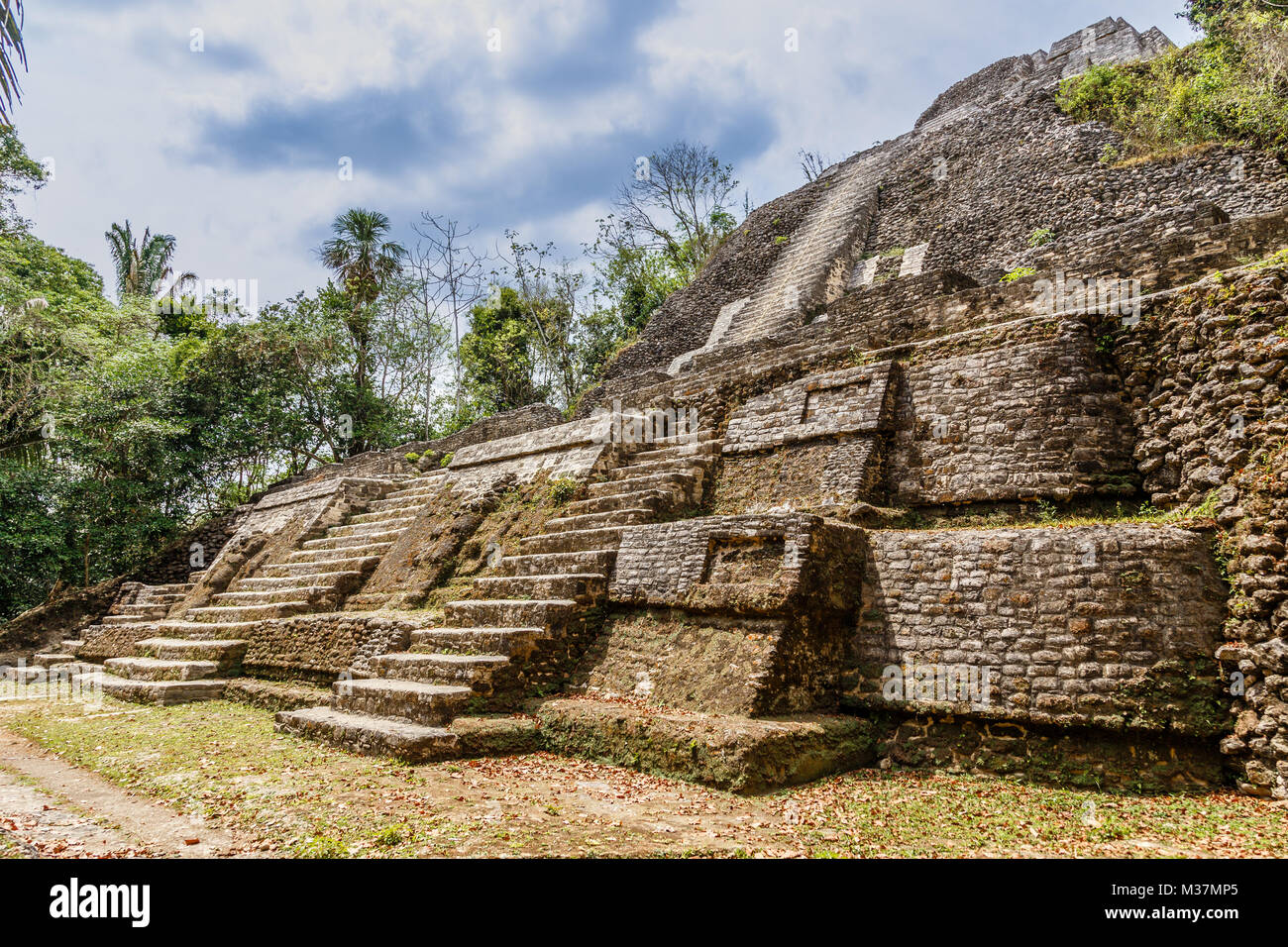 Central ancient pyramid of old Mayan civilization city, Lamanai ...