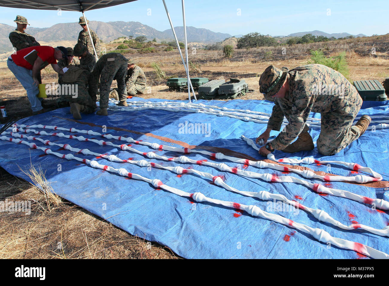 Paint grenades hi-res stock photography and images - Alamy