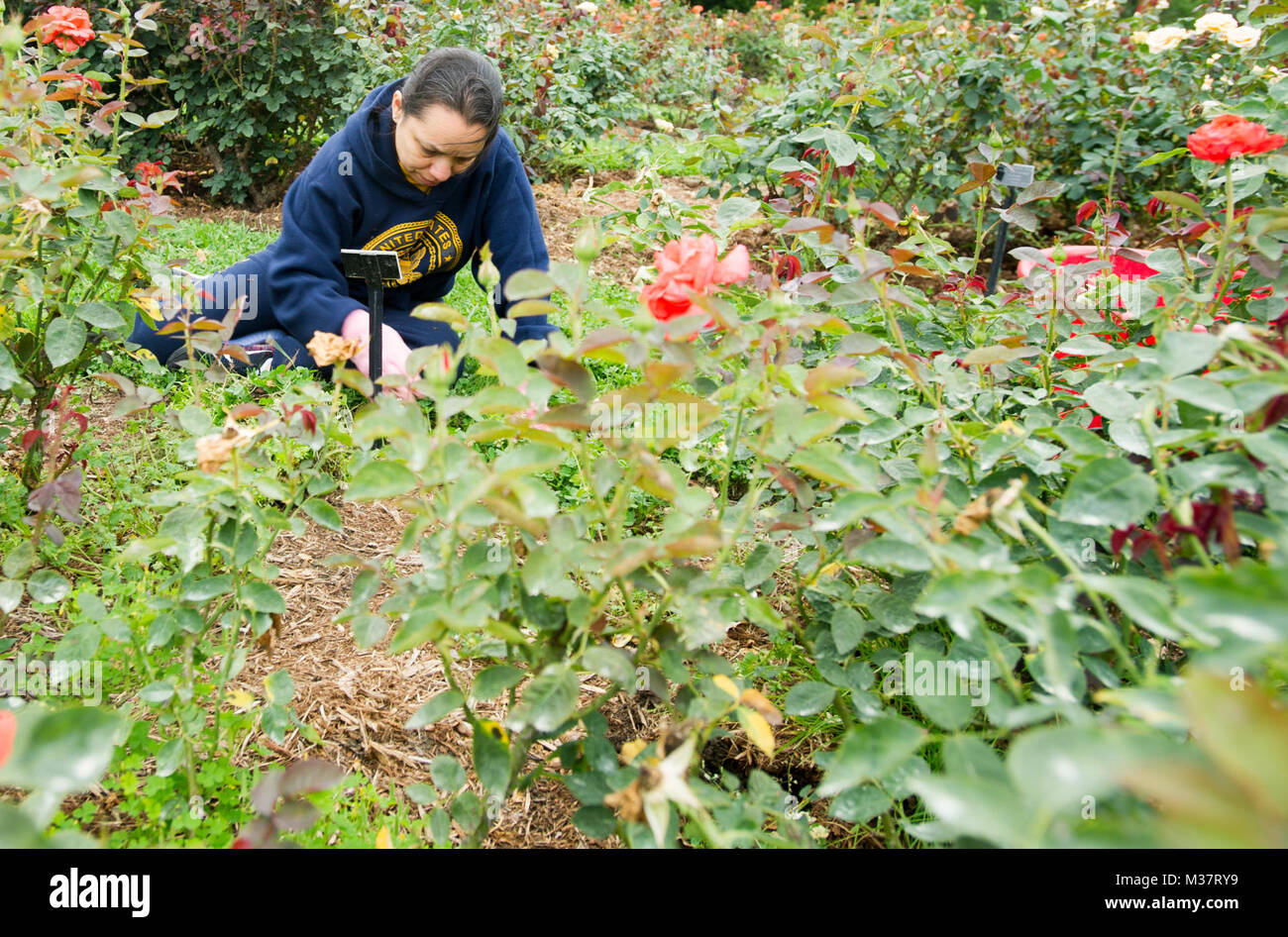 Chiefs and First Class Petty Officers participate in Community ...