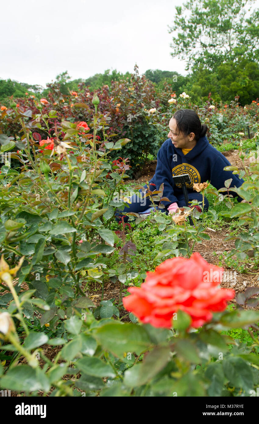 Chiefs and First Class Petty Officers participate in Community ...