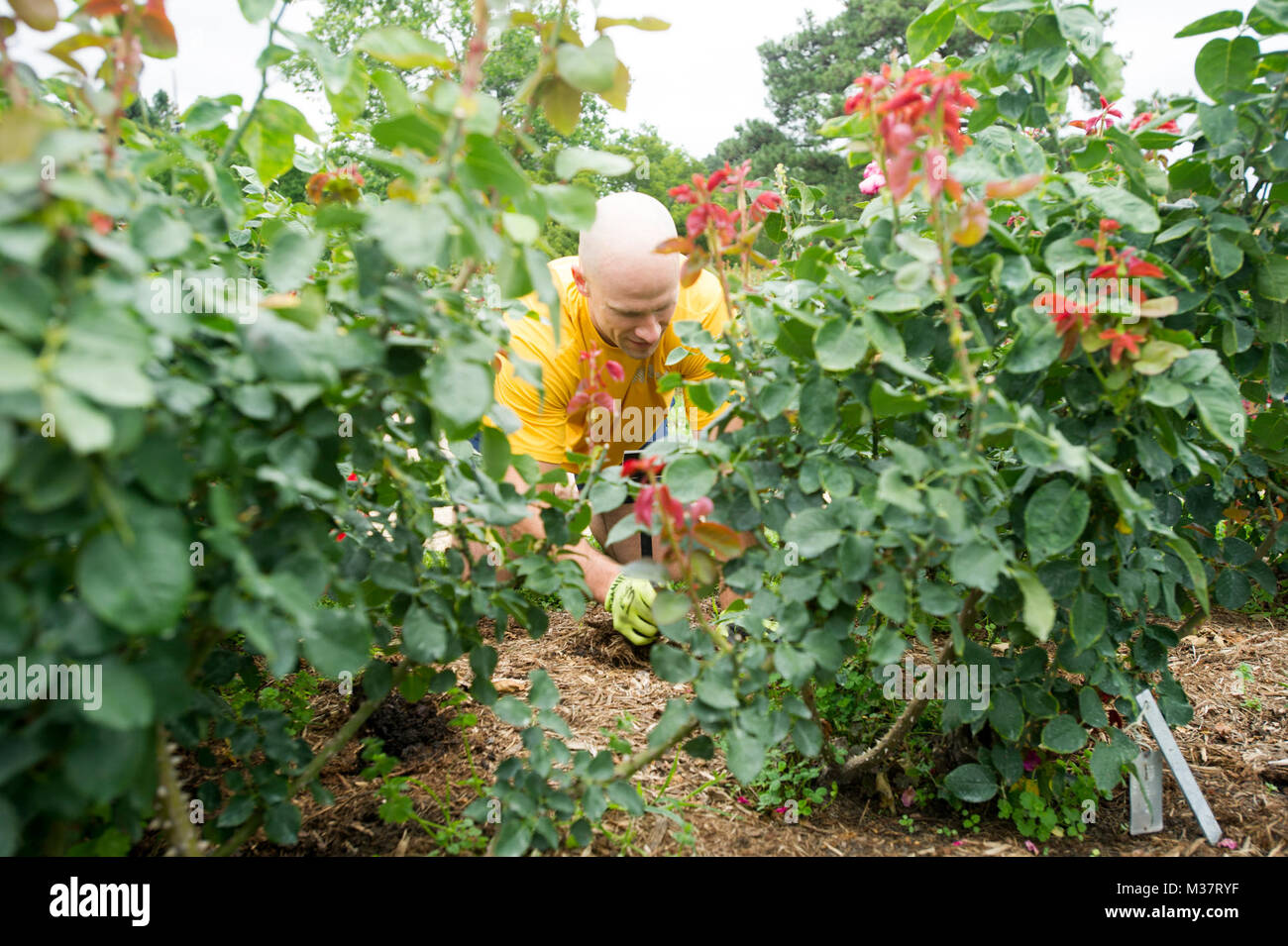 Chiefs and First Class Petty Officers participate in Community ...
