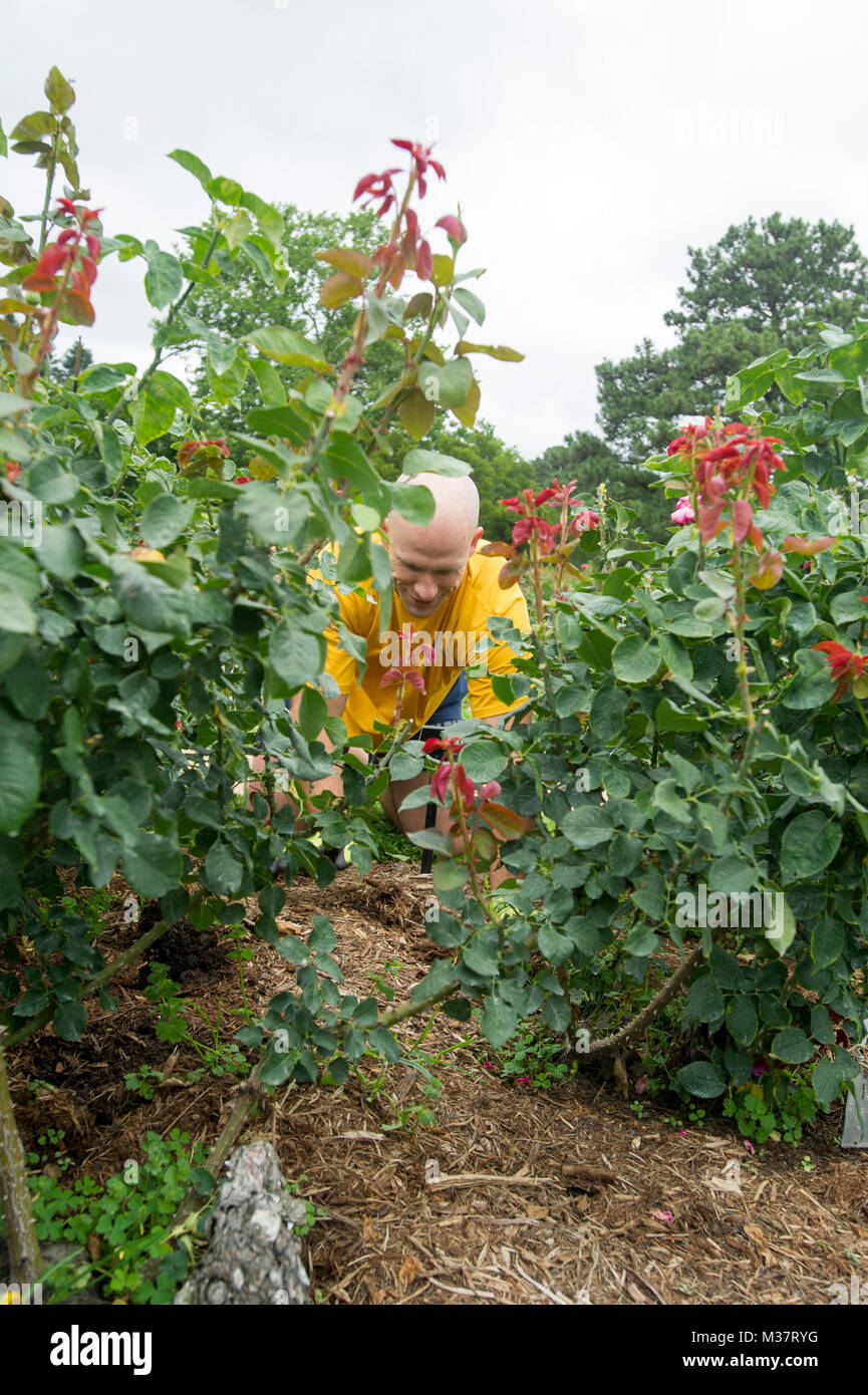 Chiefs and First Class Petty Officers participate in Community ...